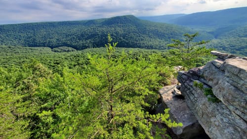 Best Hikes and Trails in Bridgestone Firestone Centennial Wilderness Wildlife Management Area ...