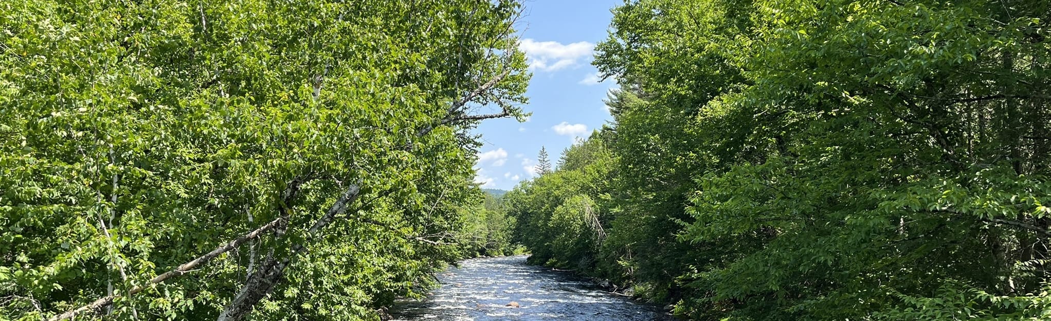 Devil Falls and Interpretive Trail: 300 fotos - Quebec, Canadá | AllTrails