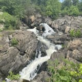 Gold Mine Loop Trail, Maryland - 815 Reviews, Map | AllTrails