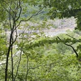 Gold Mine Loop Trail, Maryland - 815 Reviews, Map | AllTrails
