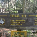 Cat Mountain Trail, New York - 207 Reviews, Map | AllTrails