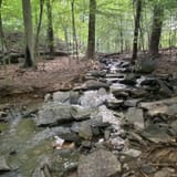 Gold Mine Loop Trail, Maryland - 815 Reviews, Map | AllTrails
