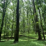 Gold Mine Loop Trail, Maryland - 815 Reviews, Map | AllTrails