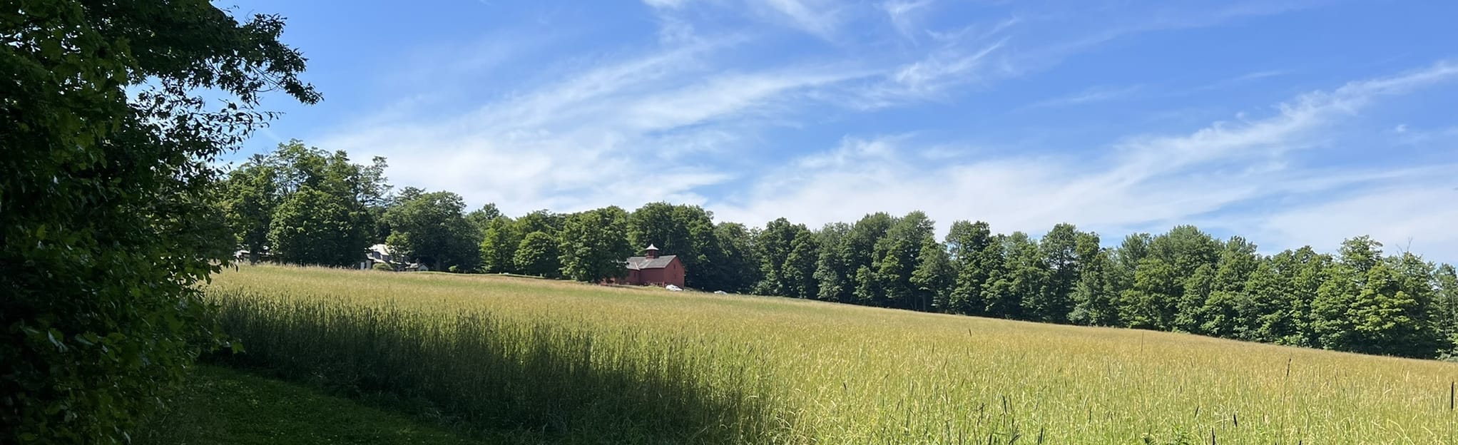 William Cullen Bryant Homestead Trail: 88 Reviews, Map - Massachusetts ...