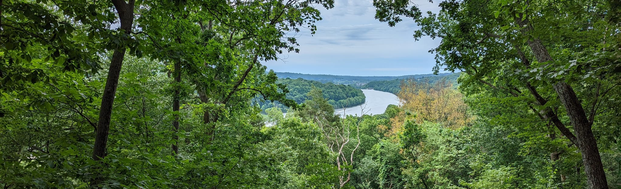 Paugussett Trail: Webb Mountain to Indian Well: 58 Reviews, Map ...