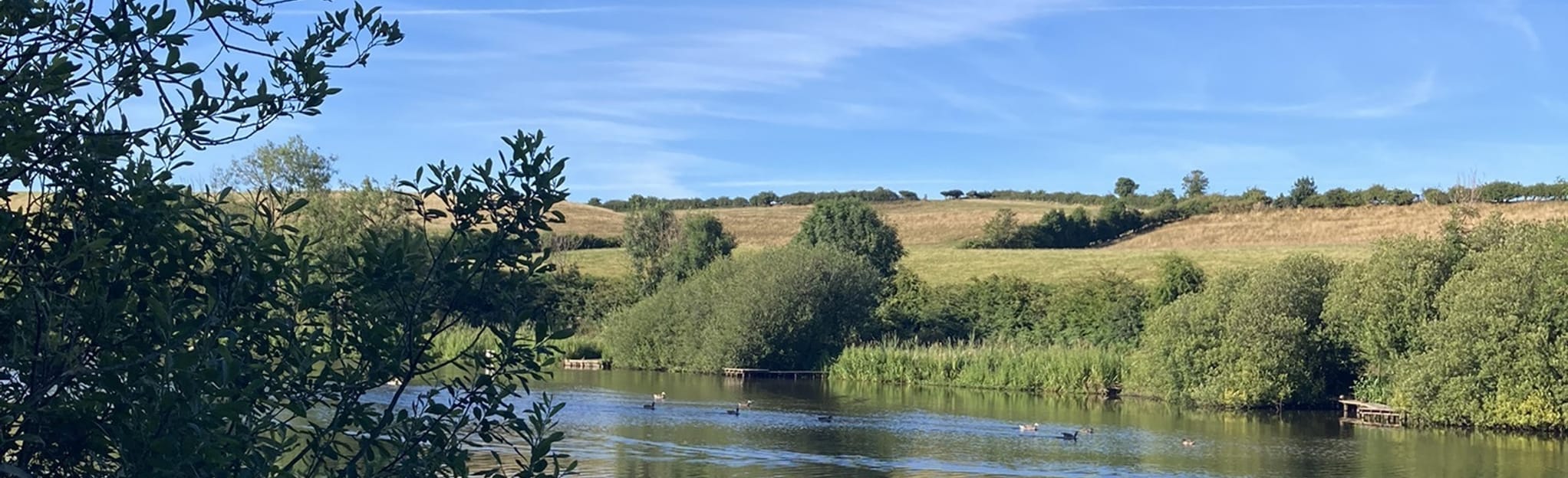Raincliffe Woods Circular: 143 foto's - North Yorkshire, Engeland ...