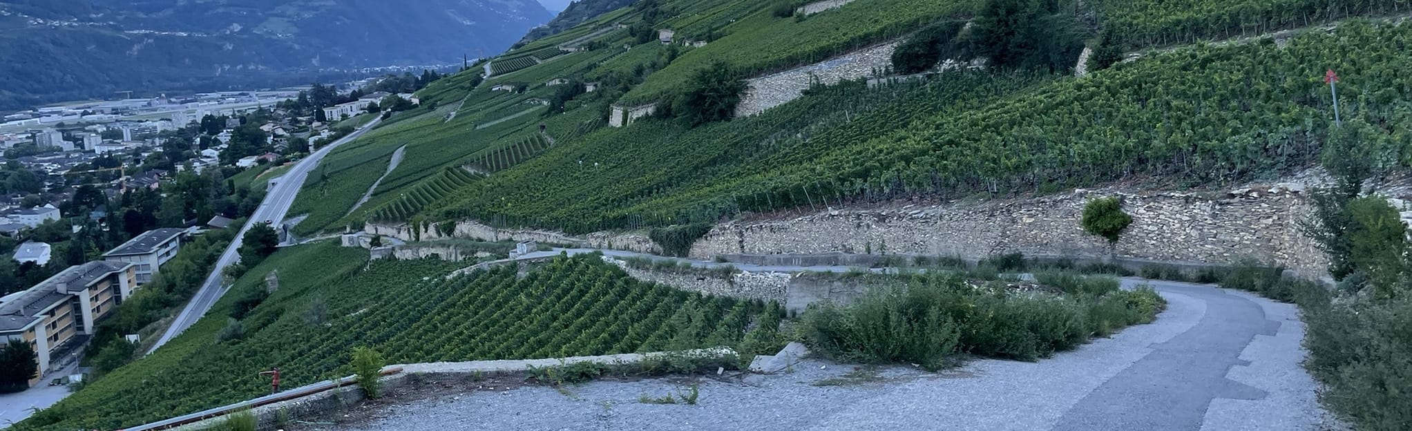 Sitten - Drône - Lac de Mouchy: 41 Fotos - Wallis, Schweiz | AllTrails