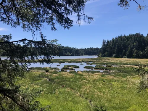 10 Best Trails and Hikes in Coos Bay | AllTrails