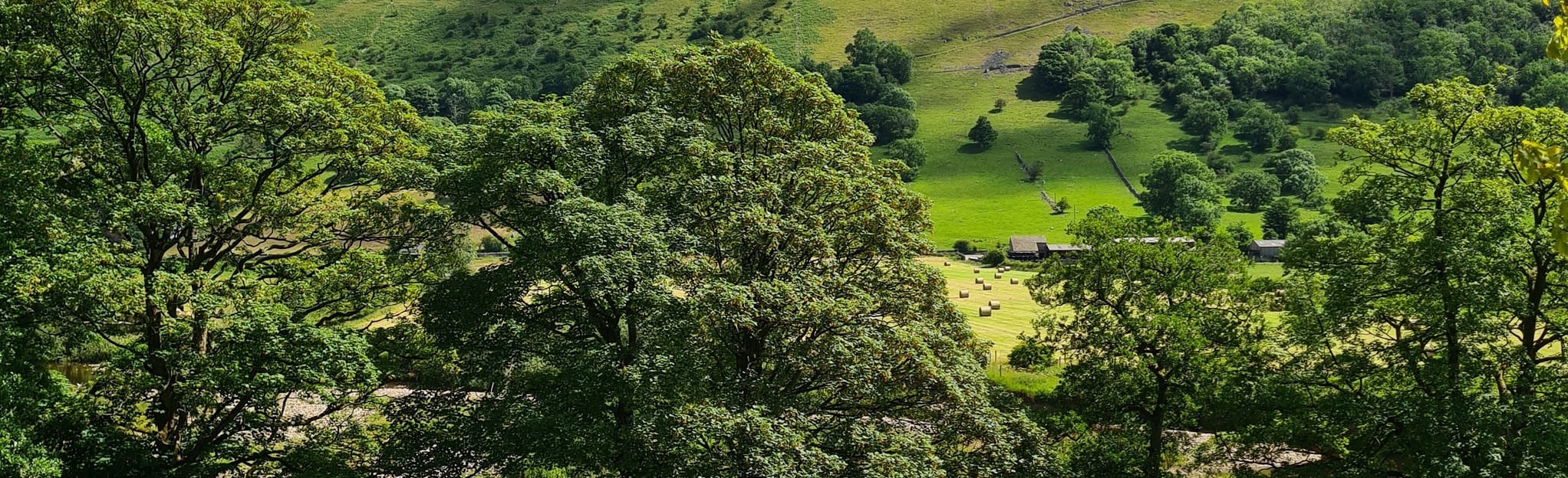Buckden Circular: 103 Reviews, Map - North Yorkshire, England | AllTrails