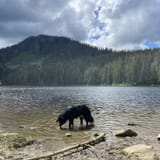 Boardman Lake Trail, Washington - 220 Reviews, Map | AllTrails