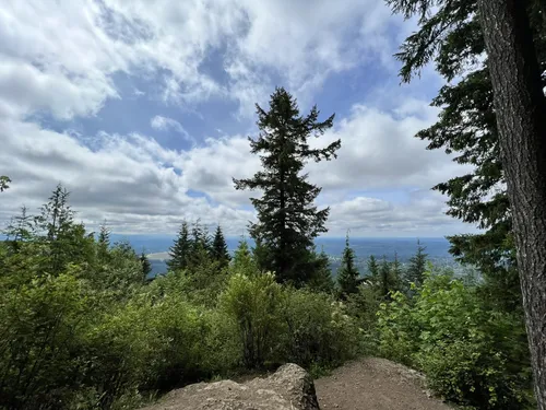 10 Best Trails and Hikes in Issaquah | AllTrails