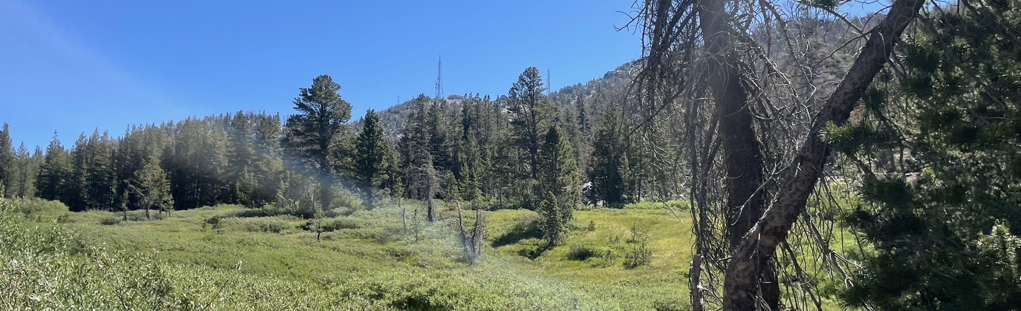 Tahoe Rim Trail (TRT): Mt. Rose Summit to Spooner Summit : 75 Reviews ...