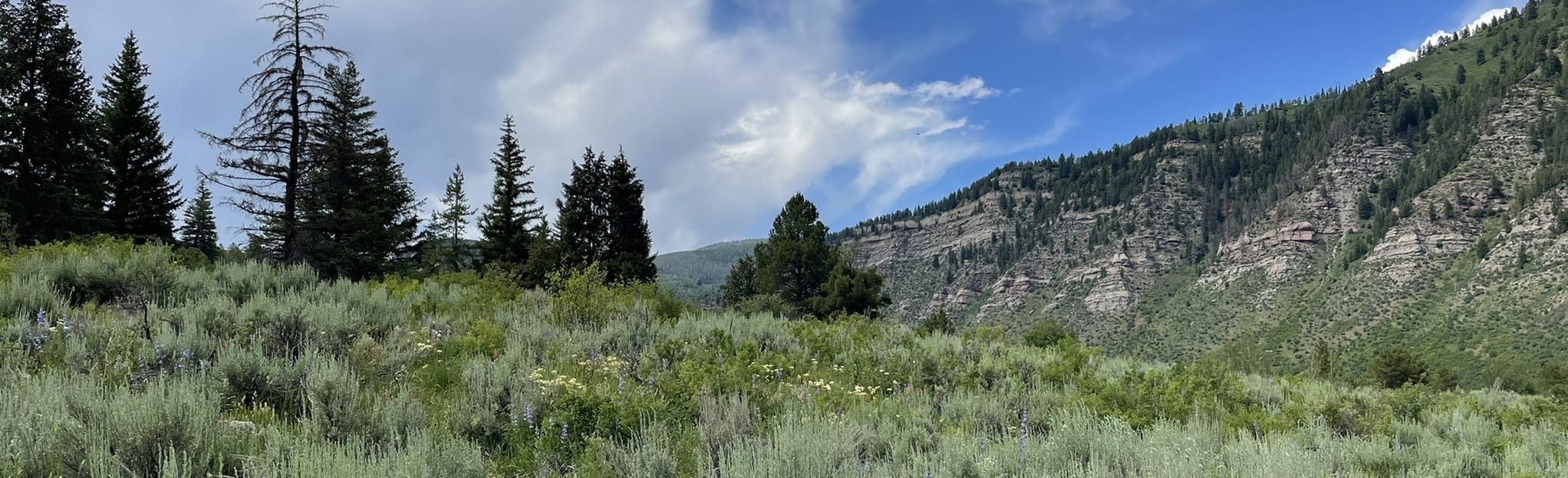 Grouse Lake Trail, Colorado - 317 Reviews, Map | AllTrails