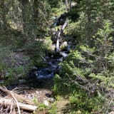 Windy Pass Trail, Montana - 103 Reviews, Map | AllTrails