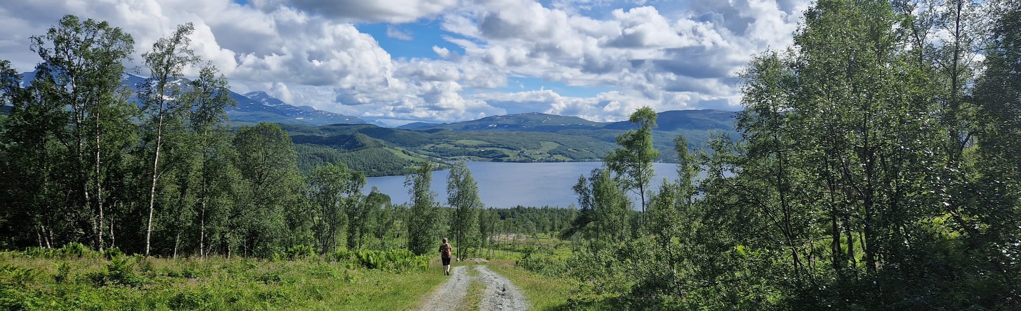 Grensevoll zum See Sagelvatn, 4 Fotos - Troms og Finnmark, Norwegen ...