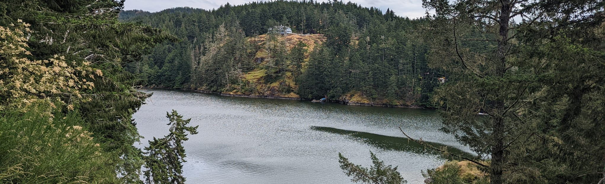 Roche Cove Regional Park Loop, British Columbia, Canada - 405 Reviews ...