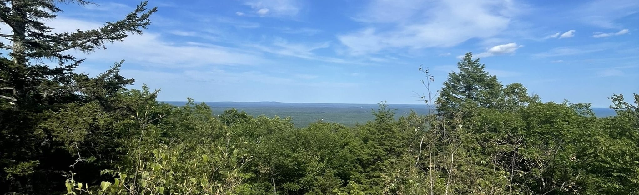 Parker Mountain via Spencer Smith and Neil Mooers Trail : 189 Reviews ...