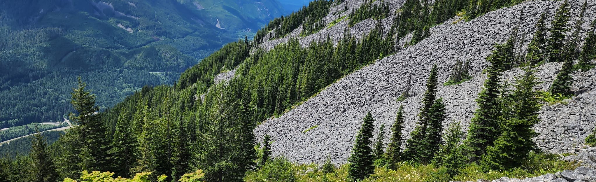 Bandera Mountain Summit: 1004 Reviews, Map - Washington | AllTrails