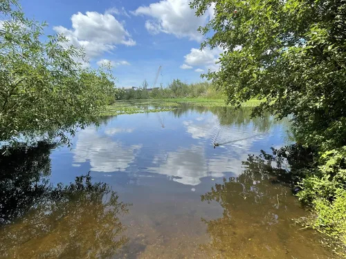 10 Best Forest Trails in Seattle | AllTrails