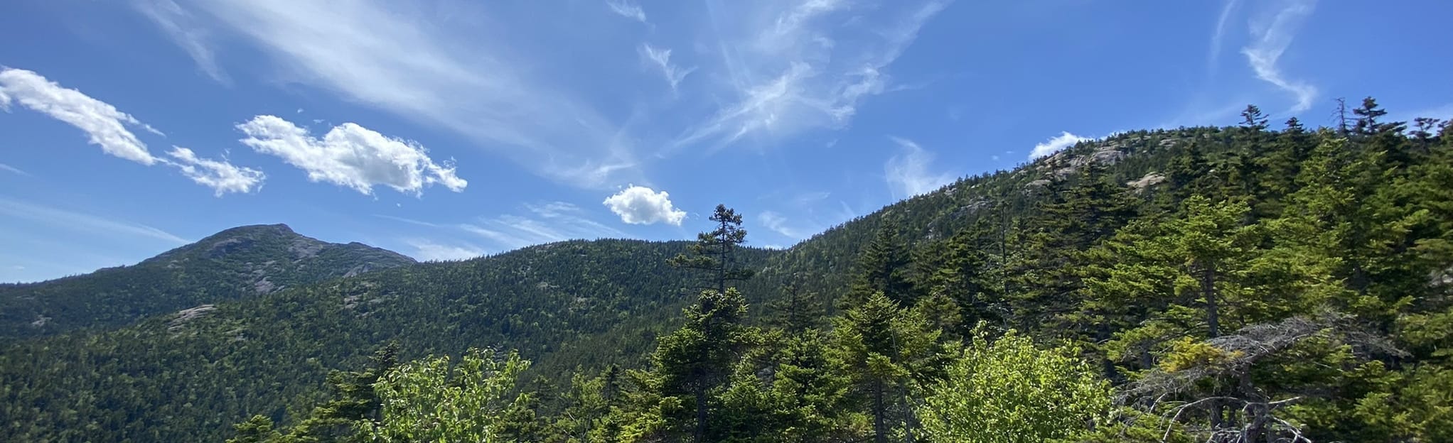 Mount Chocorua via Carter Ledge Trail: 108 Reviews, Map - New Hampshire ...