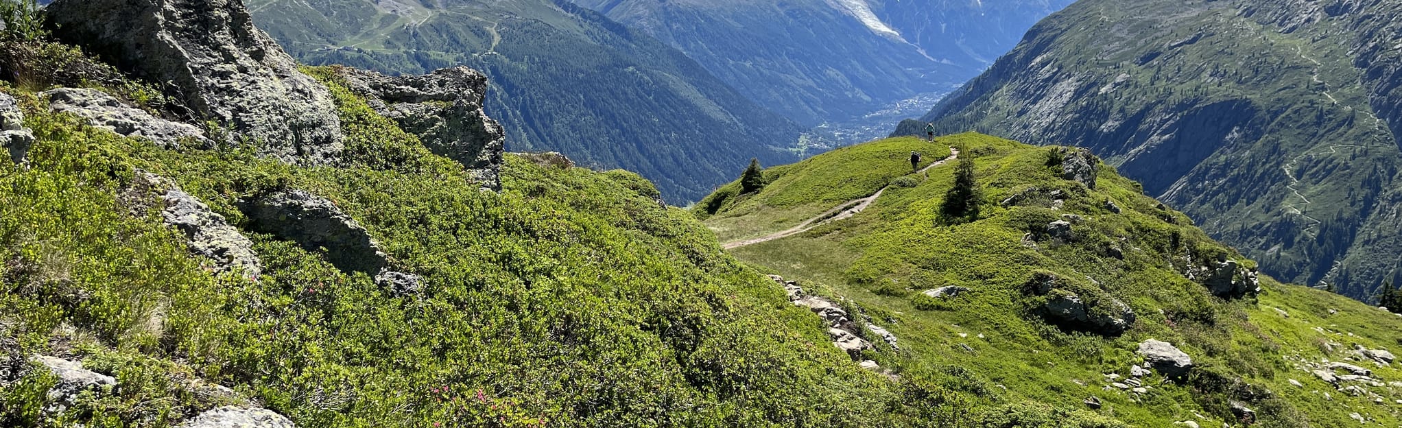Trient - Argentière | Map, Guide - Valais, Switzerland | AllTrails