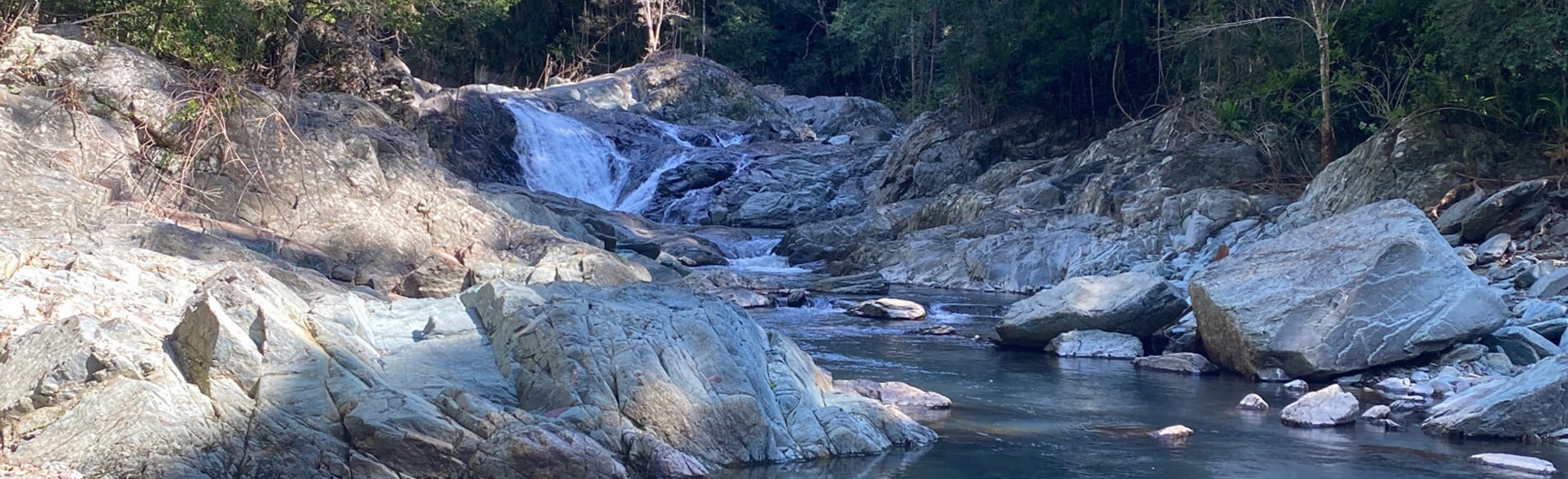 Conondale Range Great Walk, Queensland, Australia - 40 Reviews, Map ...