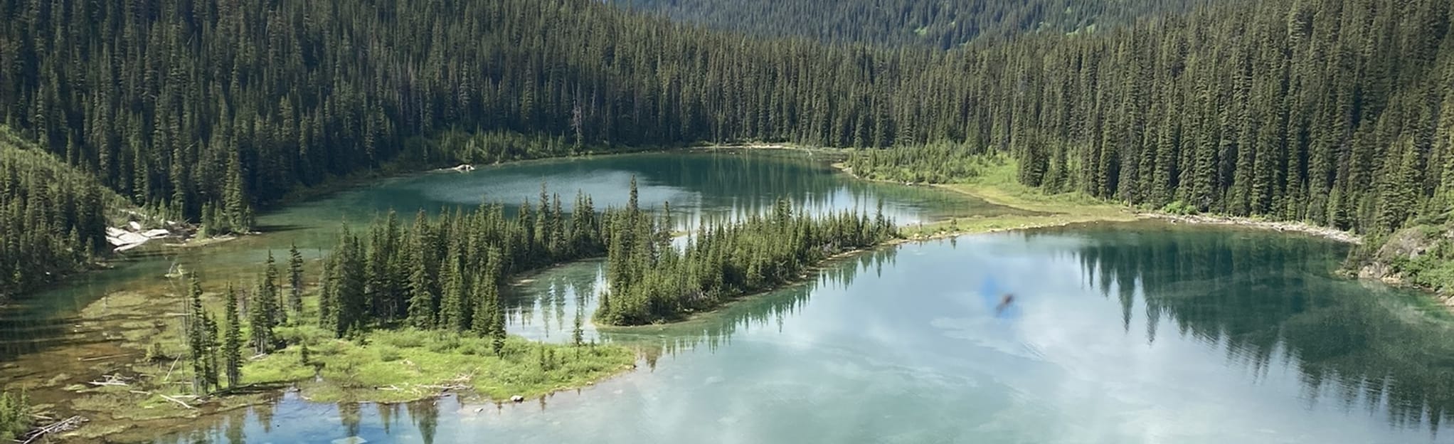 Dainard Lake Trail, British Columbia, Canada - 2 Reviews, Map | AllTrails