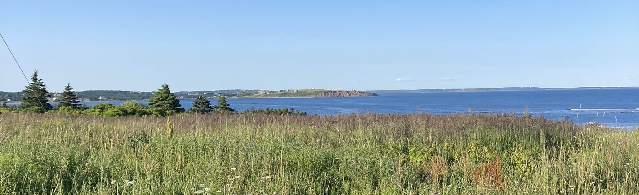 Hartlen Point Shoreline: 28 Reviews, Map - Nova Scotia, Canada | AllTrails