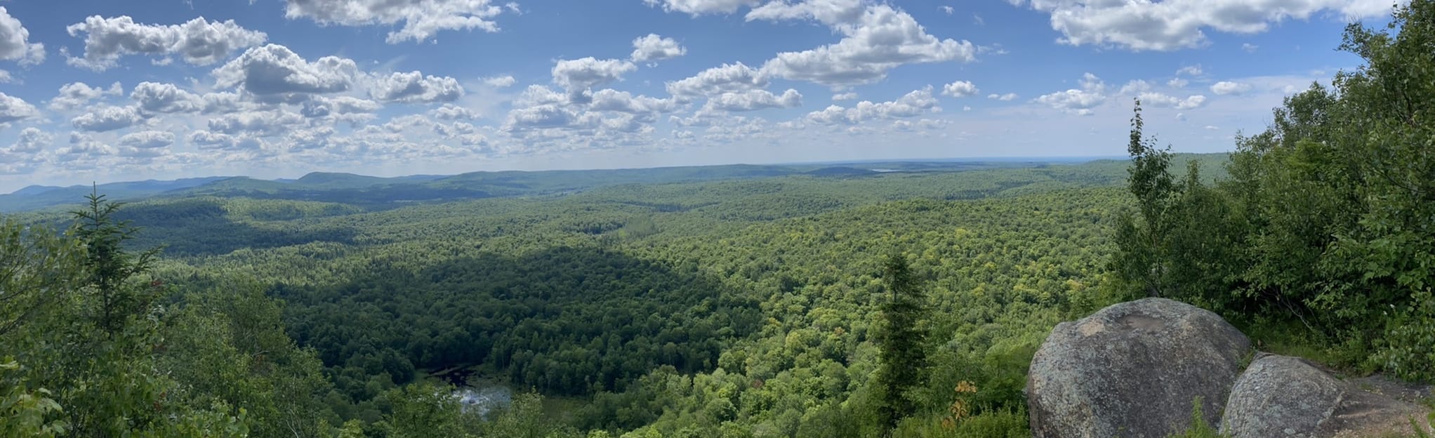 Pinnacle Mountain Trail: 105 Reviews, Map - New York | AllTrails