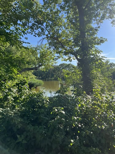 Best Hikes and Trails in Sedgwick County Park | AllTrails