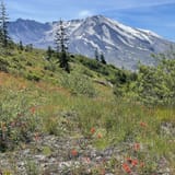 Johnston Ridge Observatory Walk [CLOSED], Washington - 219 Reviews, Map ...