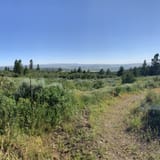 Kelly Canyon Trail, Idaho - 301 Reviews, Map | AllTrails