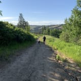 Kelly Canyon Trail, Idaho - 301 Reviews, Map | AllTrails