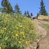 Kelly Canyon Trail, Idaho - 301 Reviews, Map | AllTrails
