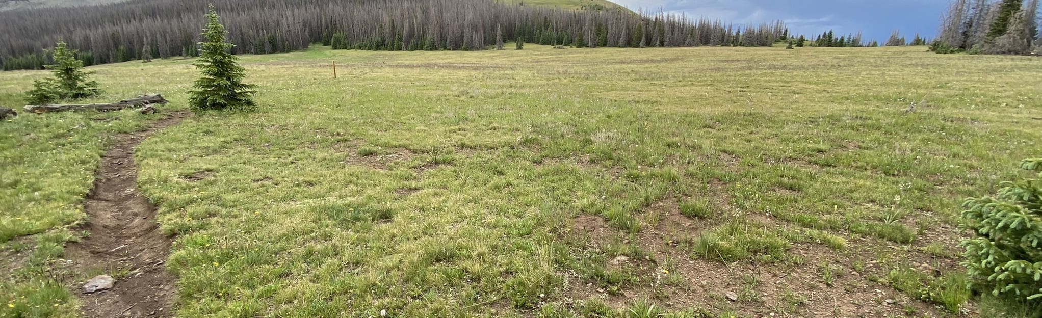 Powderhorn Lakes, Colorado - 49 Reviews, Map | AllTrails