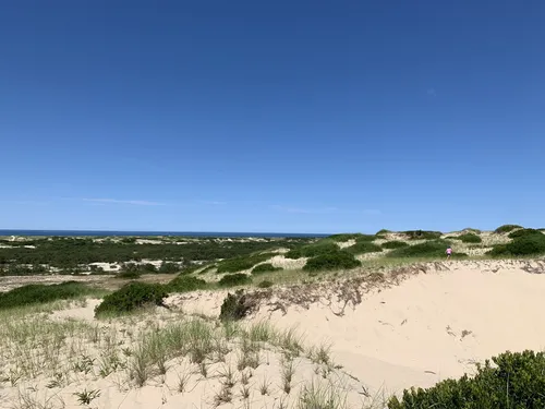10 Best Hikes and Trails in Cape Cod National Seashore | AllTrails