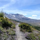 Windy Ridge Trail, Washington - 120 Reviews, Map | AllTrails