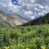 Alpine Loop OHV Loop, Colorado - 161 Reviews, Map | AllTrails