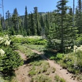 Three Peaks Loop, Washington - 151 Reviews, Map | AllTrails