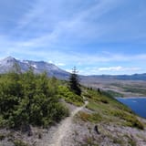 Windy Ridge Trail, Washington - 120 Reviews, Map | AllTrails