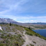 Windy Ridge Trail, Washington - 120 Reviews, Map | AllTrails