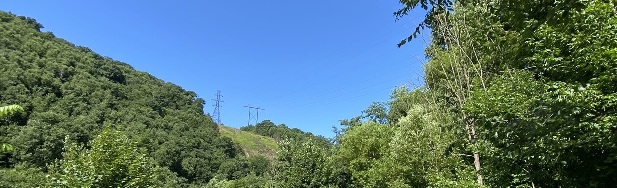 Back Mountain Trail, 172 Fotos - Pennsylvania | AllTrails