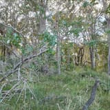 Neerabup Nature Reserve, Western Australia, Australia - 32 Reviews, Map ...
