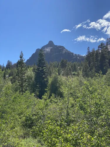 2023 Best 10 Camping Trails in Humboldt-Toiyabe National Forest | AllTrails