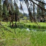 Fish Lake Trail, Oregon - 55 Reviews, Map | AllTrails