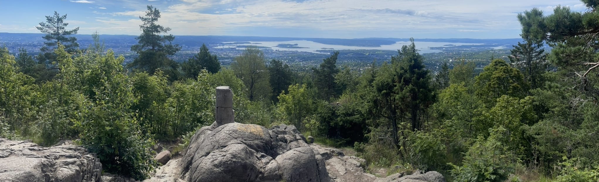 Vettakollen: 127 fotos - Oslo, Noruega | AllTrails