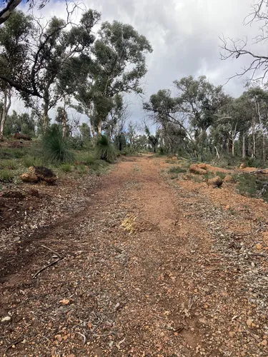 Best Hikes and Trails in Gidgegannup | AllTrails