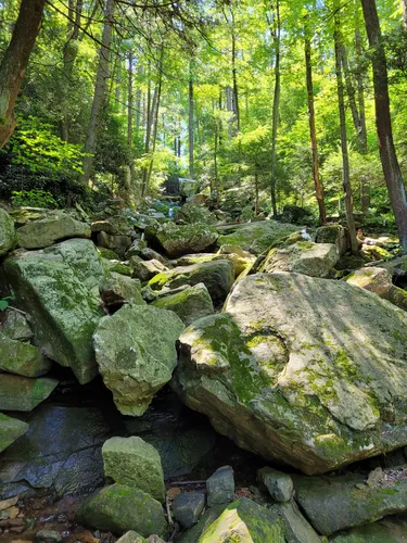 10 Best Trails and Hikes in Pine Grove | AllTrails