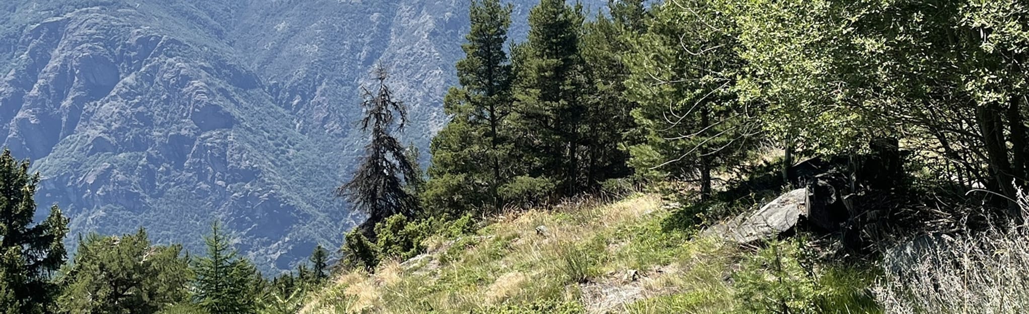 AllTrails | Col de Joux - Testa di Comagna: 10 Reviews, Map - Aosta ...