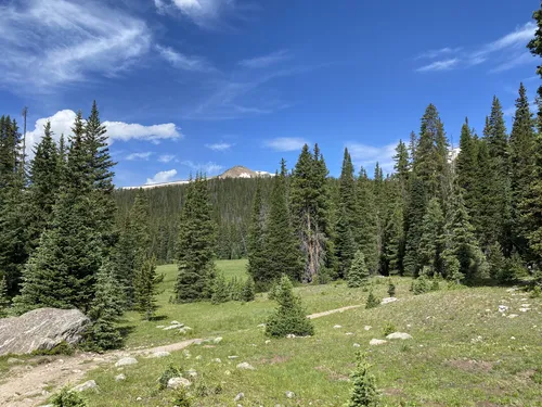 10 Best Hikes and Trails in San Isabel National Forest | AllTrails